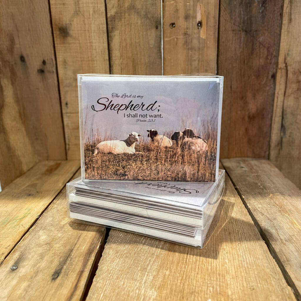 Sheep Note Cards - Neely Marketplace